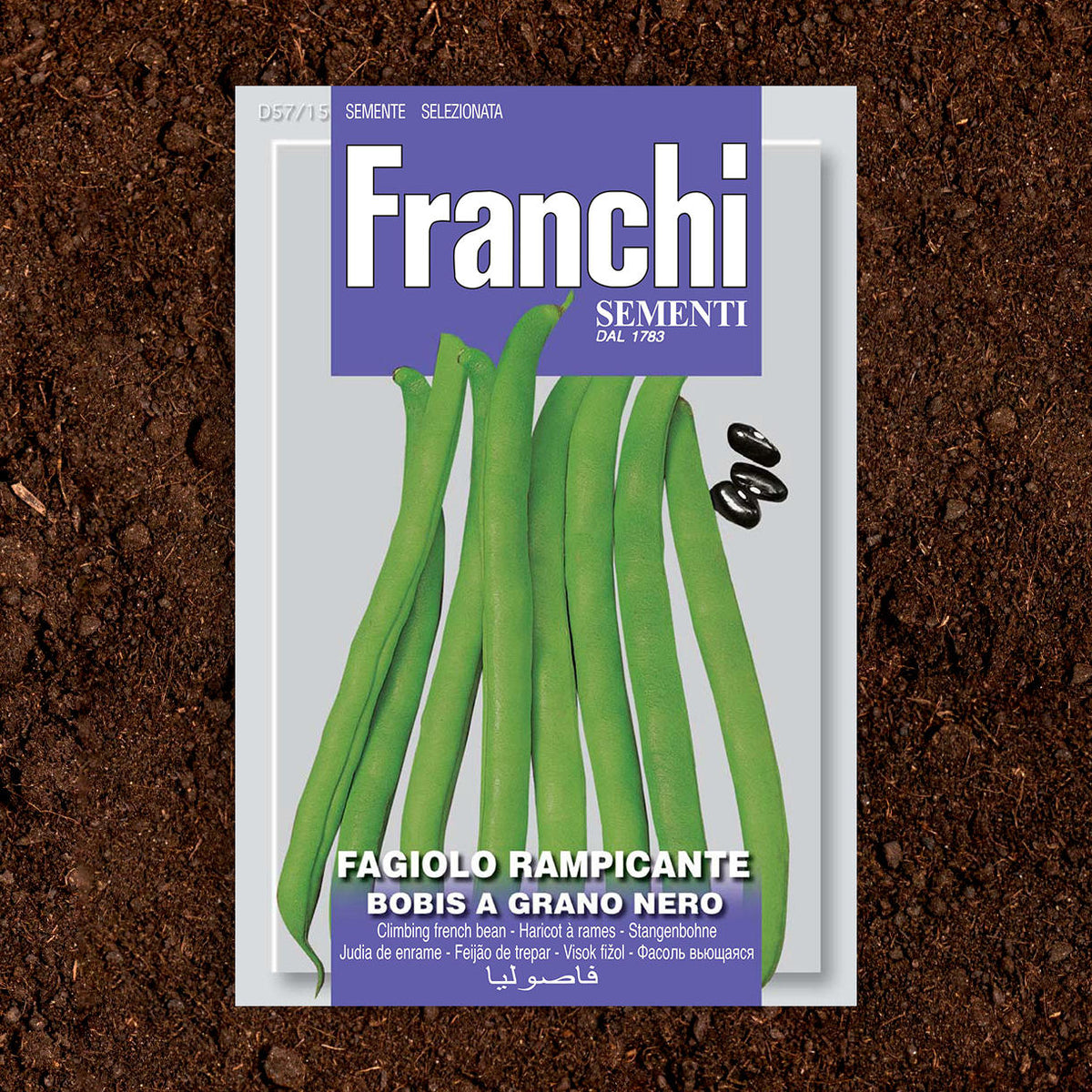 Buy French Bean Bobis a Grano Nero Climbing Seeds — The Worm that Turned - revitalising your ...
