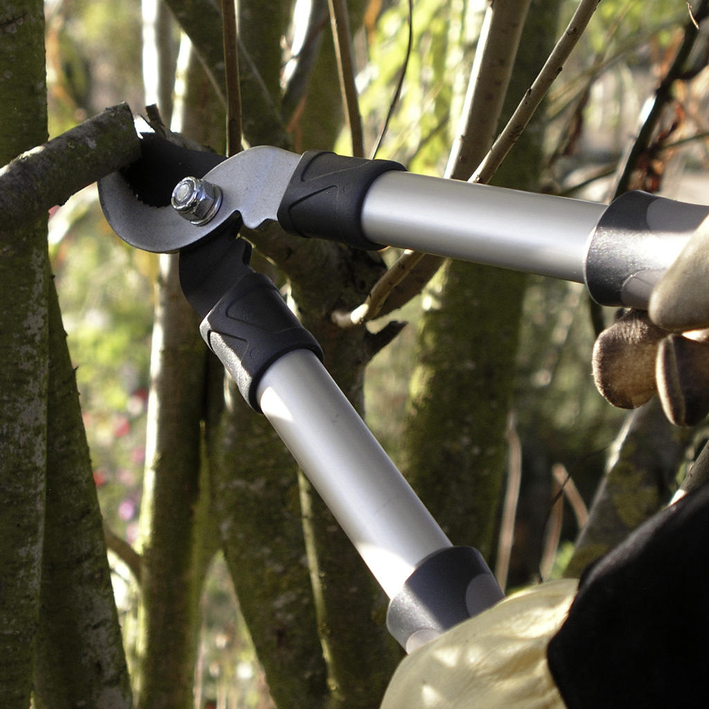 Buy Mini Bypass Lopper — The Worm That Turned Revitalising Your Outdoor Space