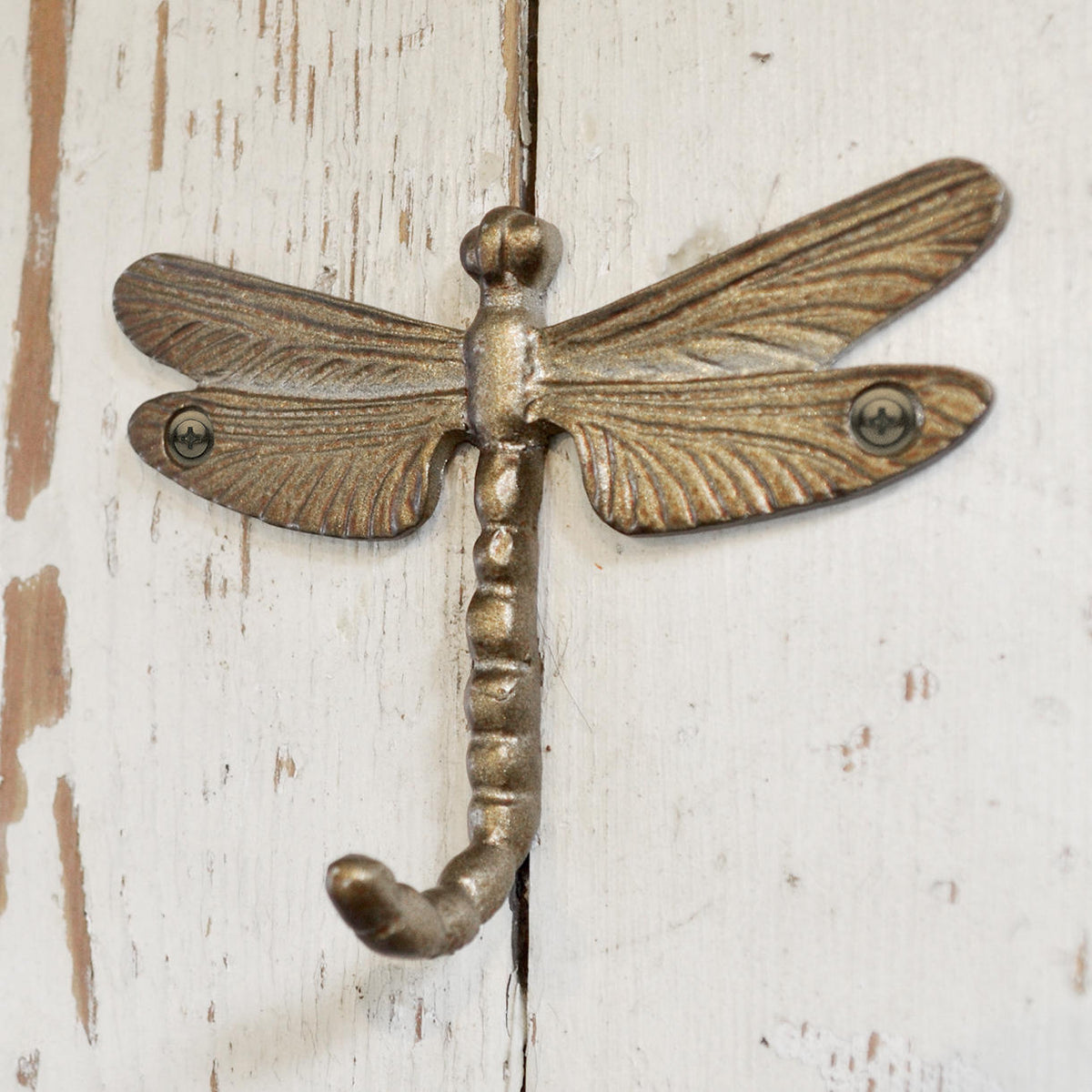 Buy Dragonfly Hook — The Worm that Turned - revitalising your outdoor space
