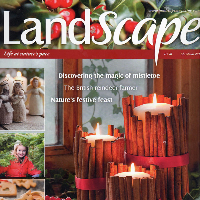 Landscape - Christmas 2012 — The Worm that Turned - revitalising your ...