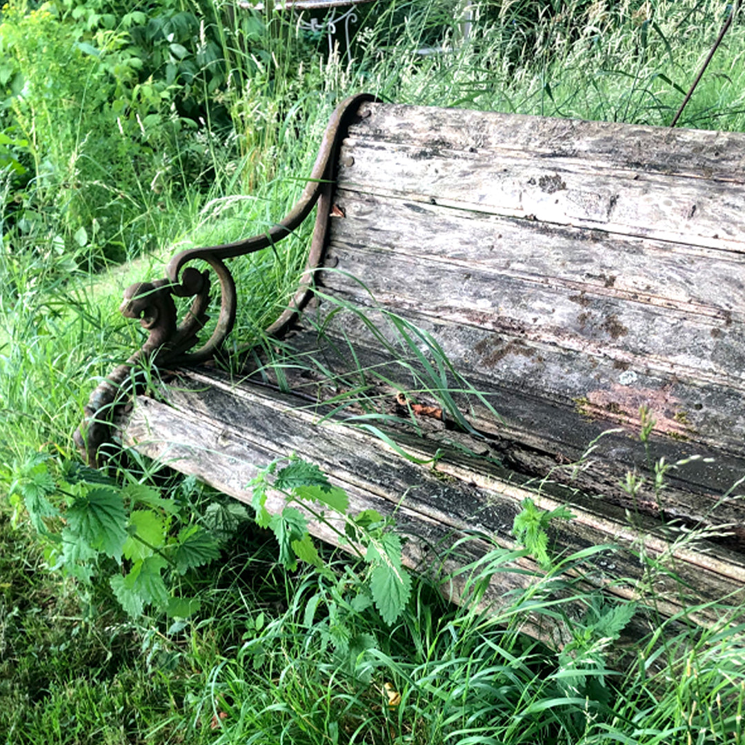 What to Consider When Buying Your Garden Bench — The Worm that Turned ...