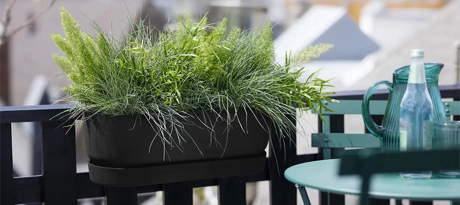 Balcony Plantstuff — The Worm that Turned - revitalising your outdoor space