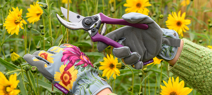 worm.co.uk — The Worm that Turned - revitalising your outdoor space