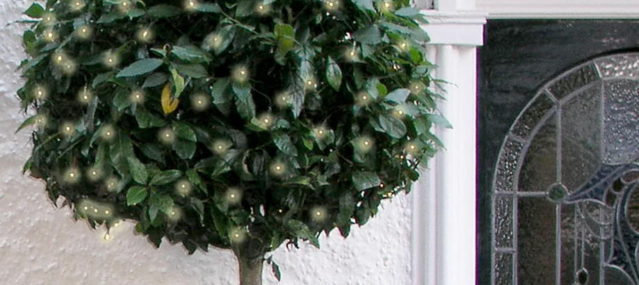 Outdoor Battery Powered Pin Lights — The Worm that Turned ...