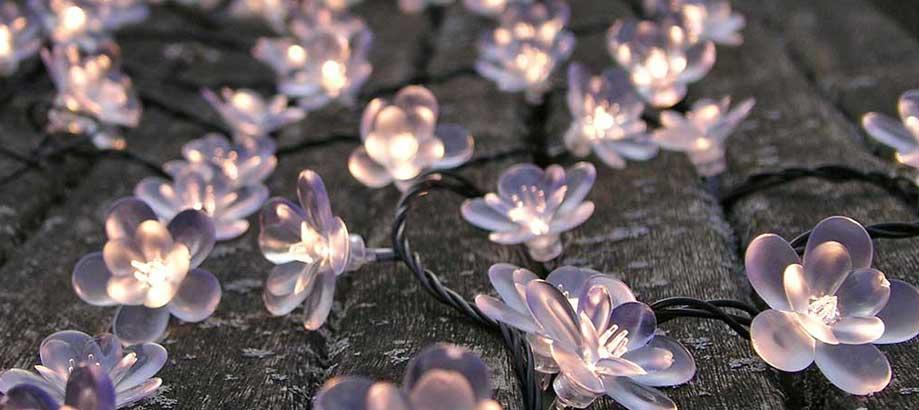 Balcony — The Worm that Turned - revitalising your outdoor space