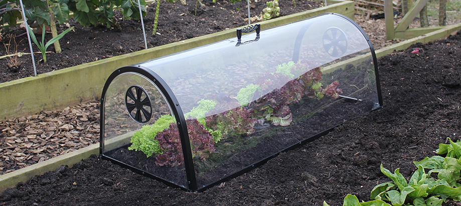 Propagation & Protection — The Worm that Turned - revitalising your ...