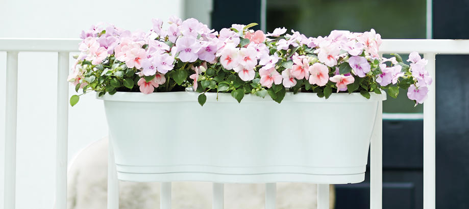 Window Boxes & Troughs — The Worm that Turned - revitalising your ...