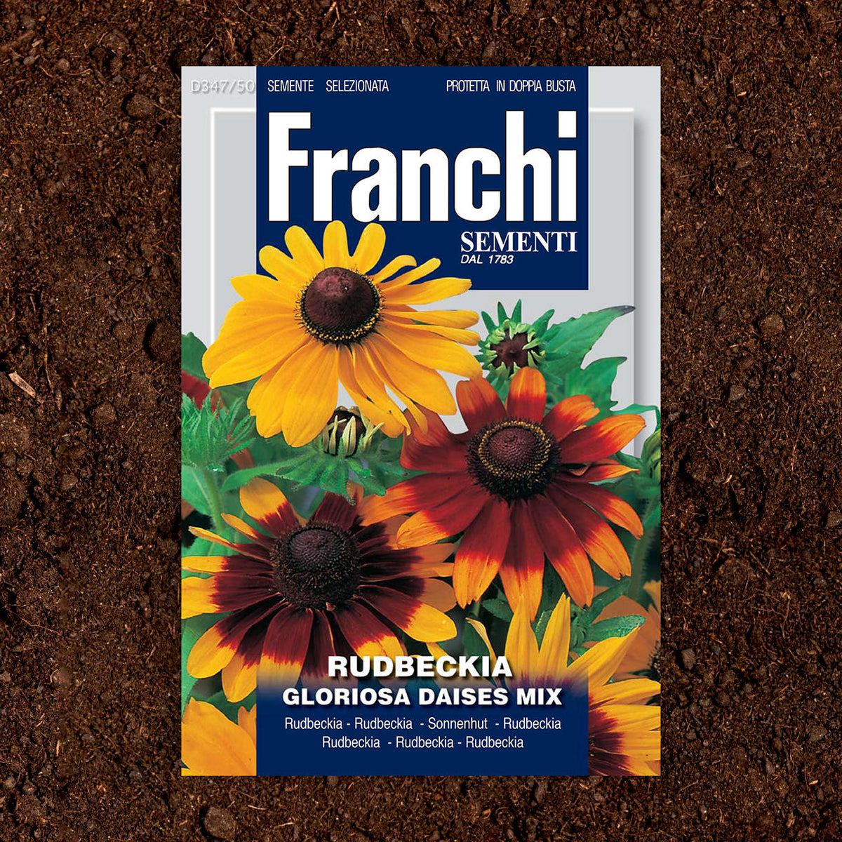 Buy Rudbeckia Seeds — The Worm that Turned - revitalising your outdoor ...
