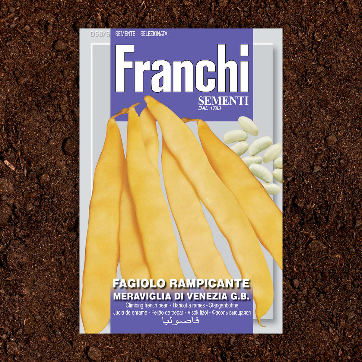 Buy Bean Meraviglia Climbing Seeds — The Worm that Turned ...