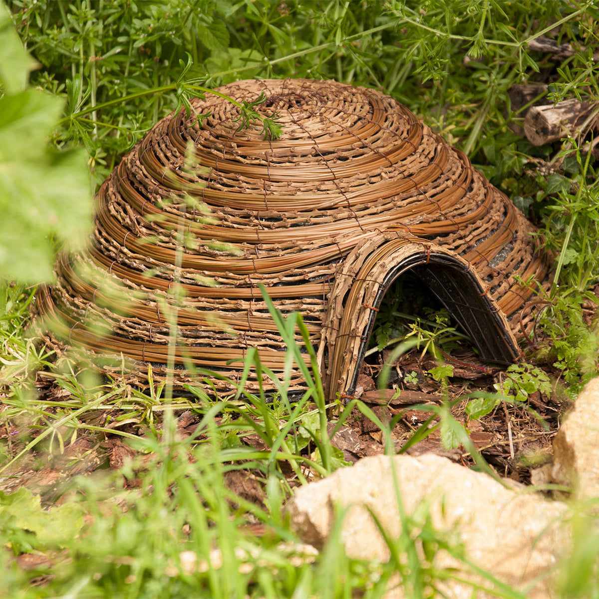 Buy Hedgehog Igloo — The Worm that Turned - revitalising your outdoor space