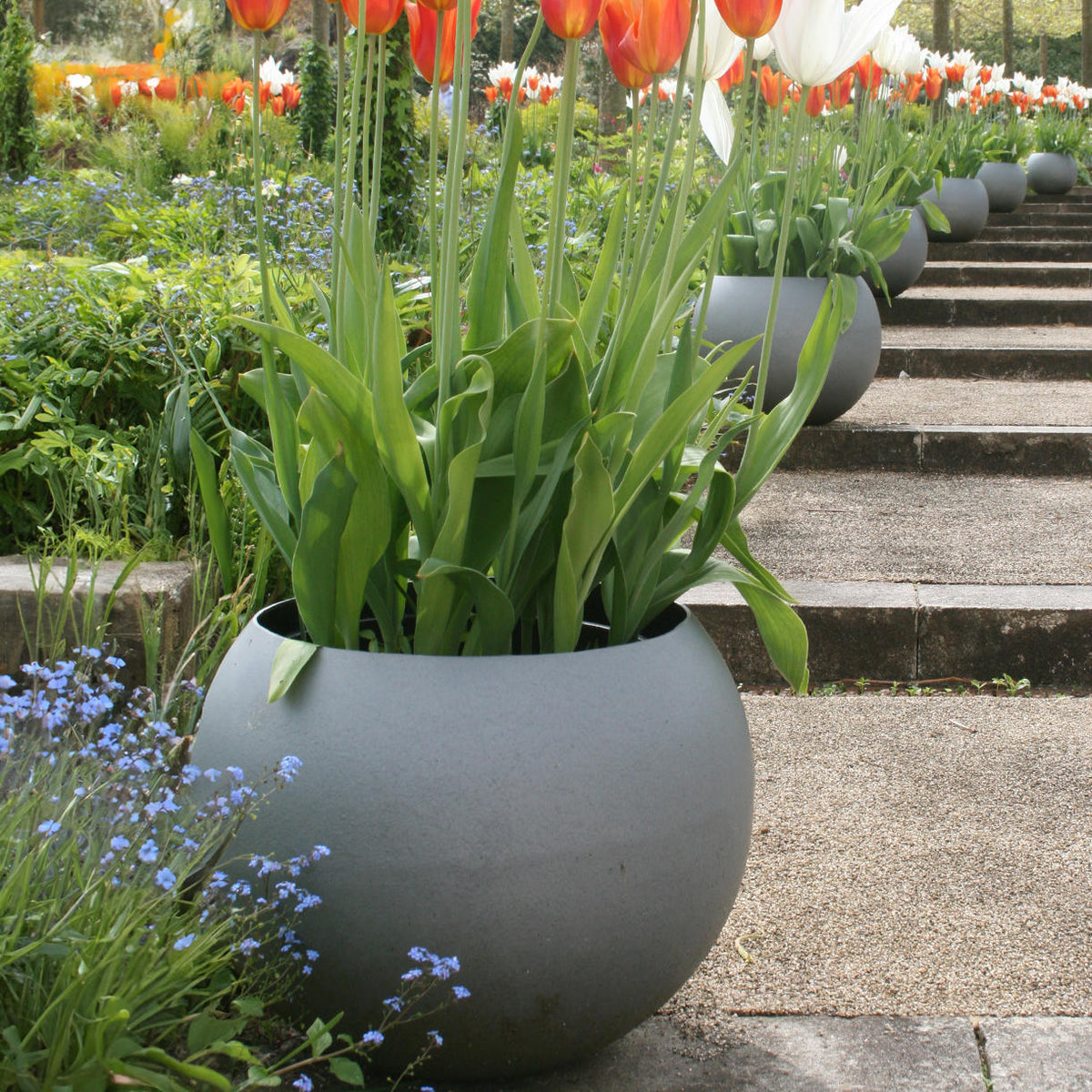 Buy Geo Sphere Planters — The Worm that Turned - revitalising your ...