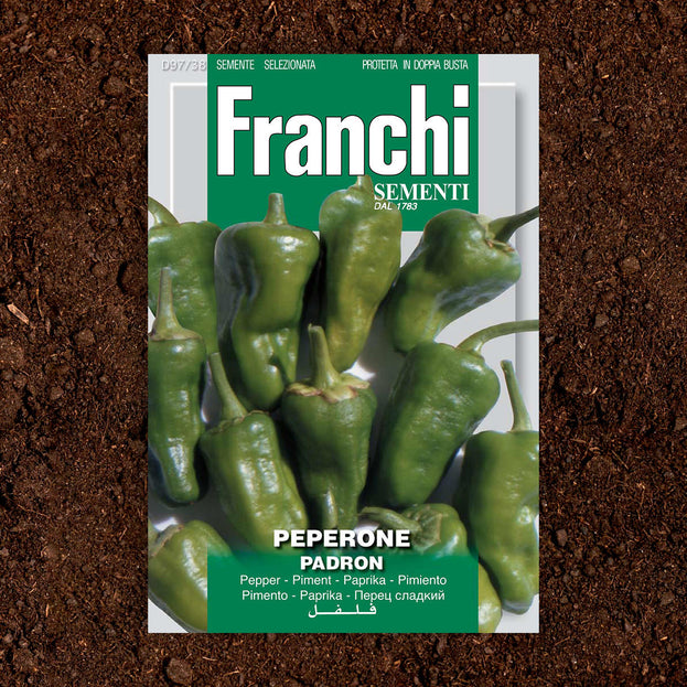 Buy Chilli Pepper Pimiento Padron Seeds — The Worm that Turned ...