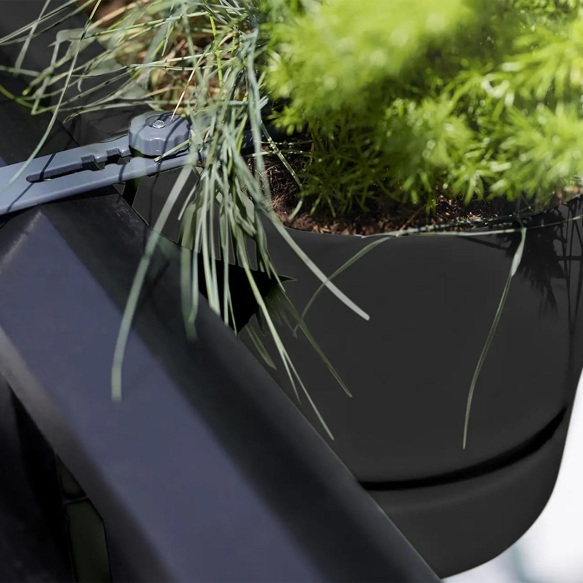 Buy Easy Balcony Trough — The Worm that Turned - revitalising your ...