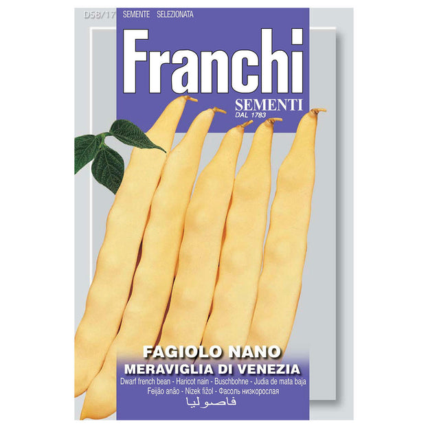 Buy Dwarf French Bean Yellow Meraviglia Di Venezia Seeds — The Worm ...