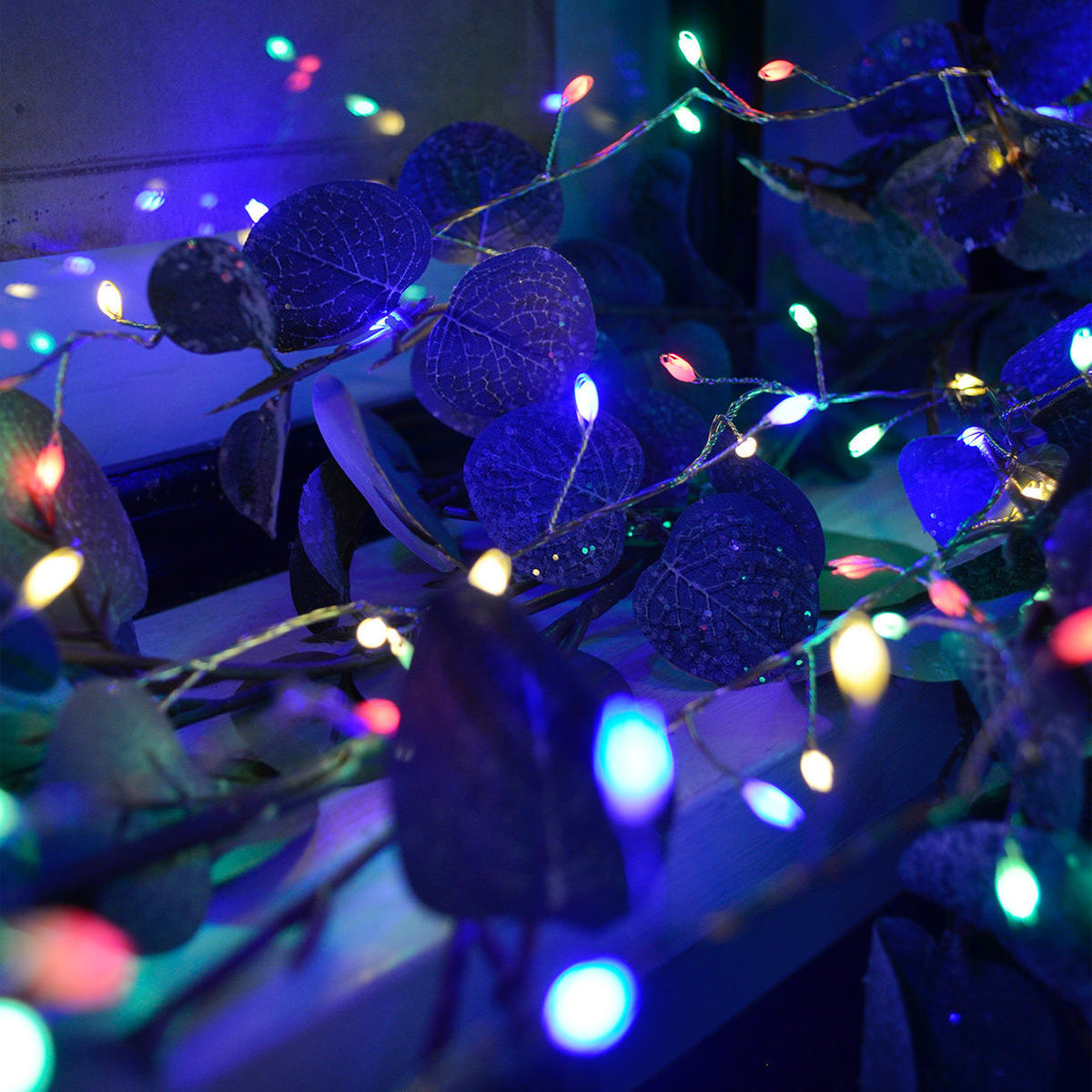 Buy Colour Changing Cluster String Lights — The Worm that Turned ...