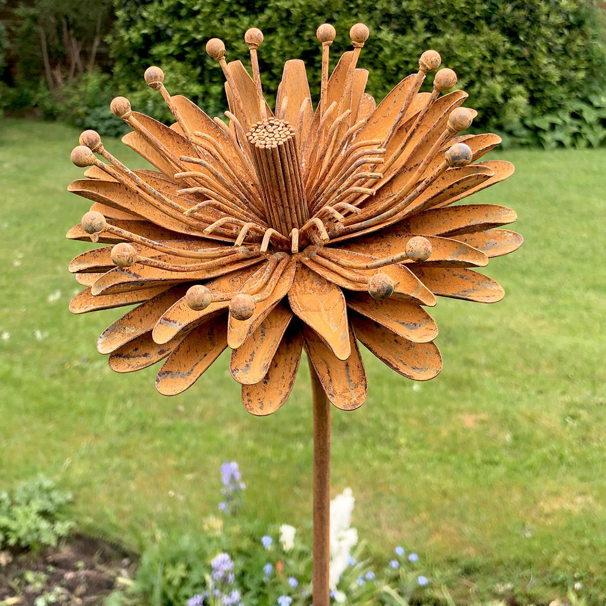 Buy Rusted Aster Flower — The Worm that Turned - revitalising your ...