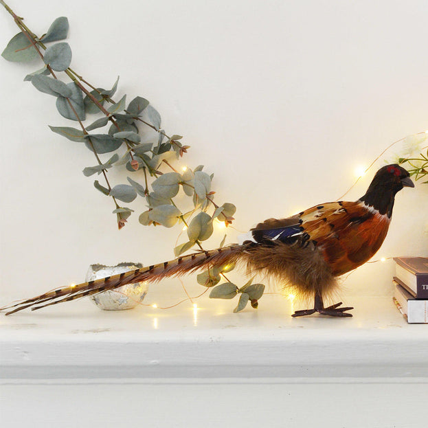Buy Phileas Pheasant Decoration — The Worm that Turned - revitalising ...