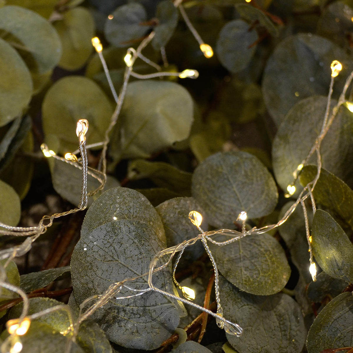 Buy Twinkling Cluster Silver Wire 400 Lights — The Worm that Turned ...