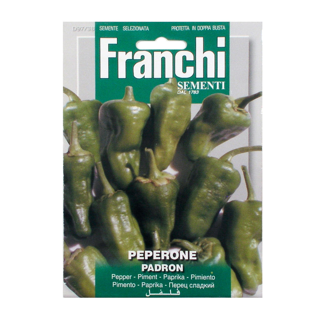 Buy Chilli Pepper Pimiento Padron Seeds — The Worm that Turned ...