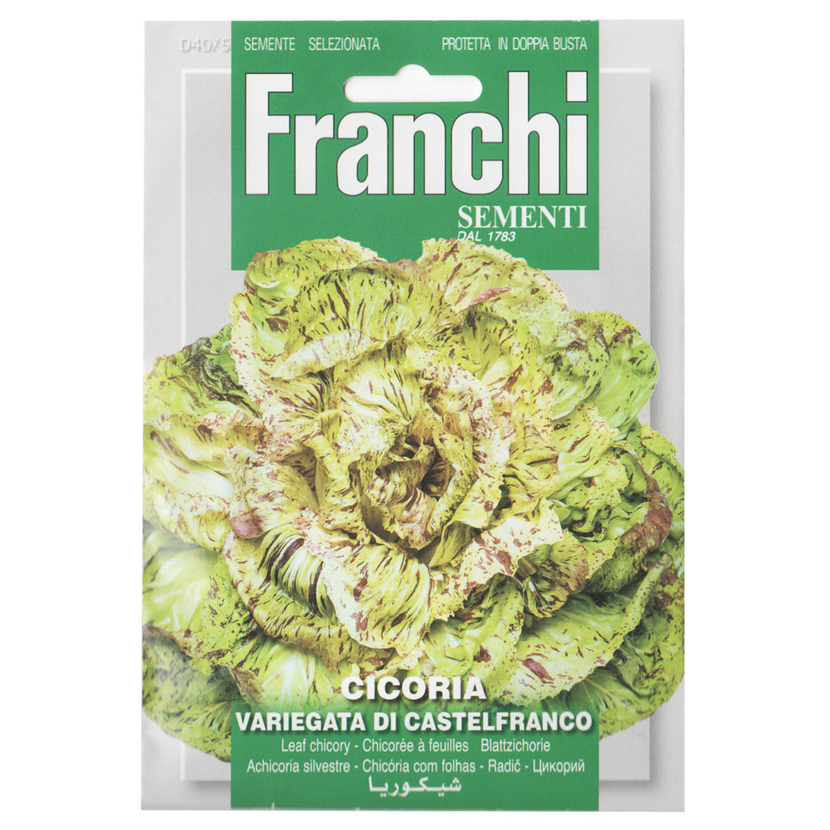 Buy Chicory Castelfranco Varigated Seeds — The Worm that Turned ...