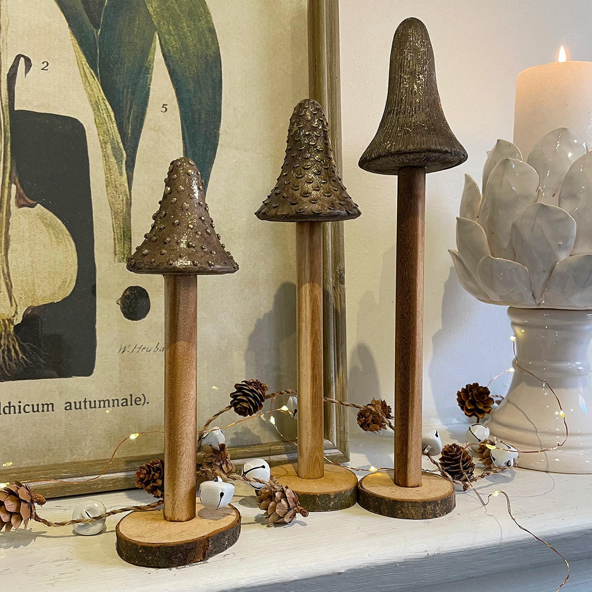 Buy Wooden Toadstools Set of 3 — The Worm that Turned - revitalising ...