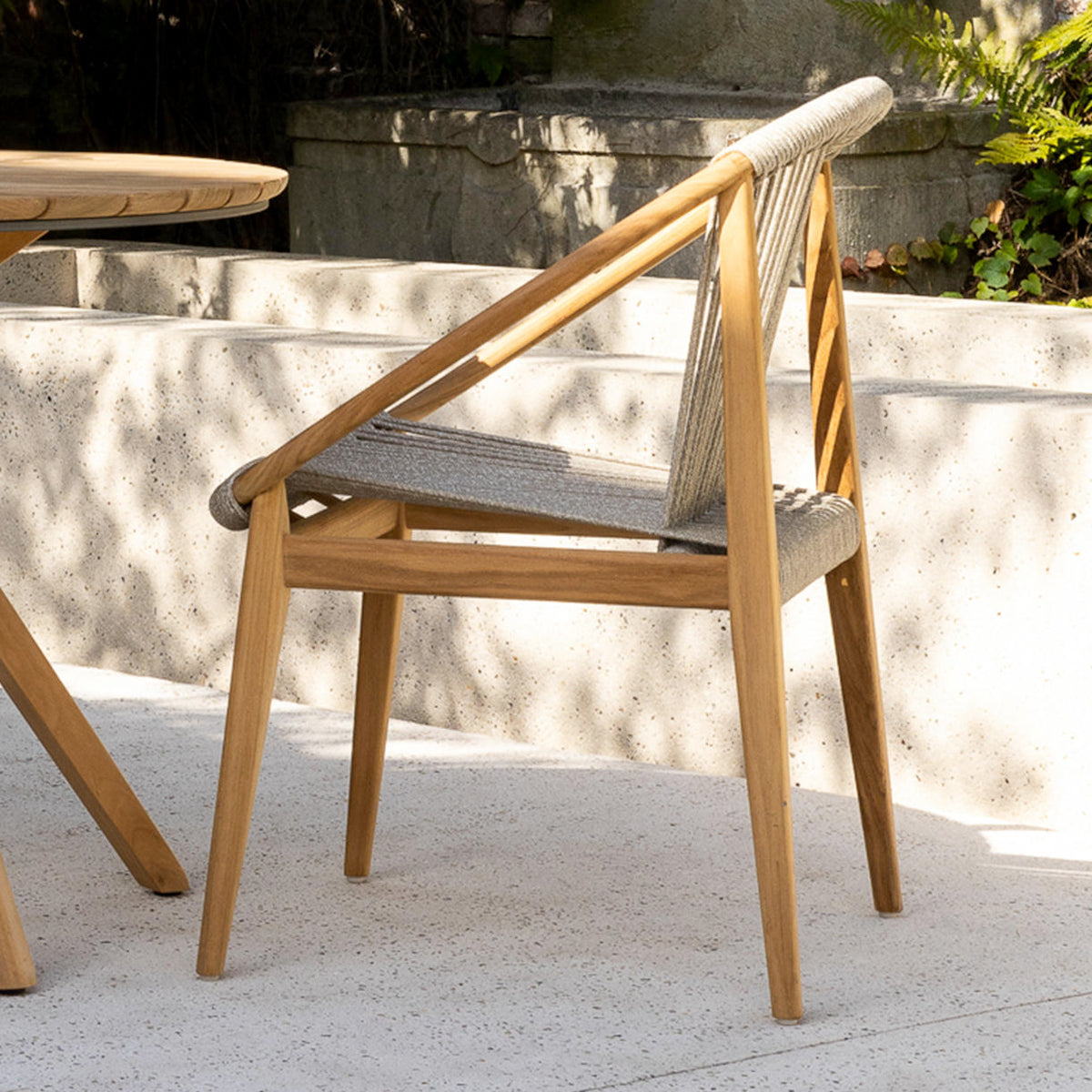 Buy Frida Dining Chair — The Worm that Turned - revitalising your ...