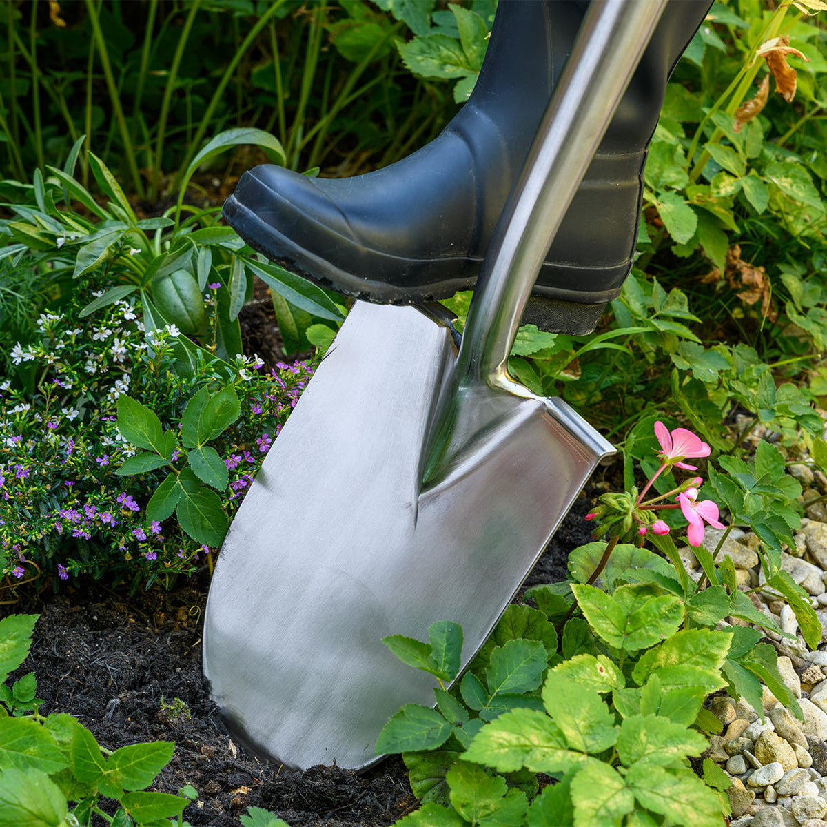 Buy Groundbreaker Spades — The Worm that Turned - revitalising your ...