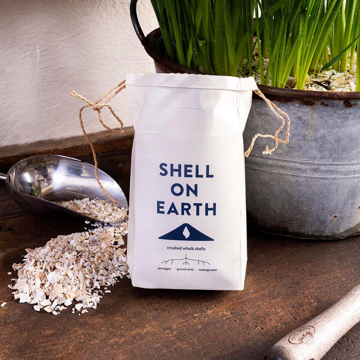 Buy Shell On Earth - Plant Dressing — The Worm that Turned ...