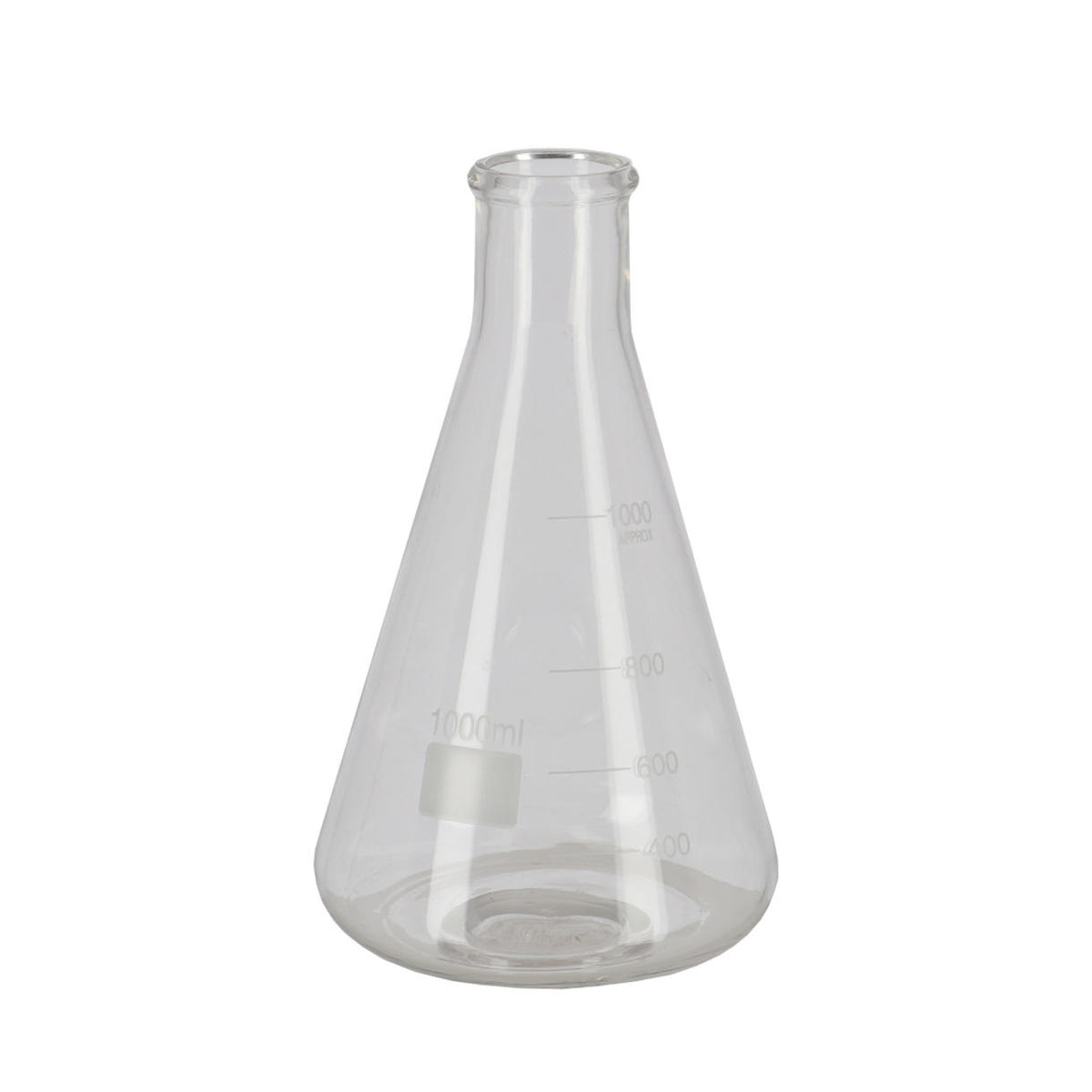 Buy Conical Glass Laboratory Style Vase — The Worm that Turned ...