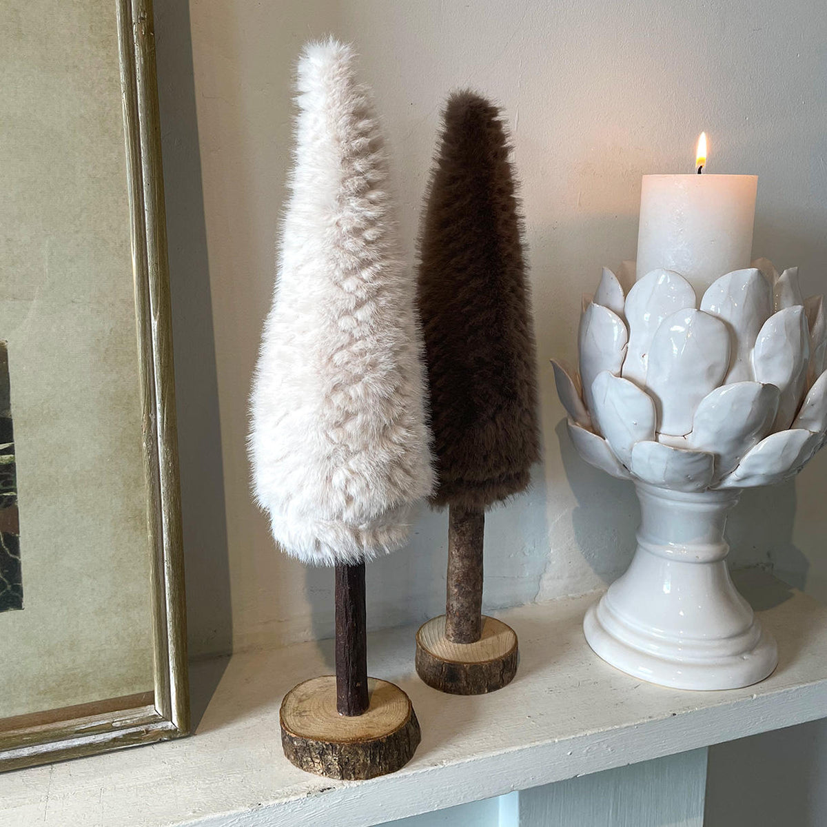 Buy Cappuccino Furry Fir Trees — The Worm that Turned - revitalising ...