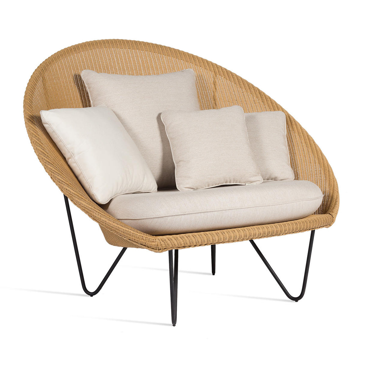 Buy Joe Indoor Lounge Chair with Black Legs — The Worm that Turned ...