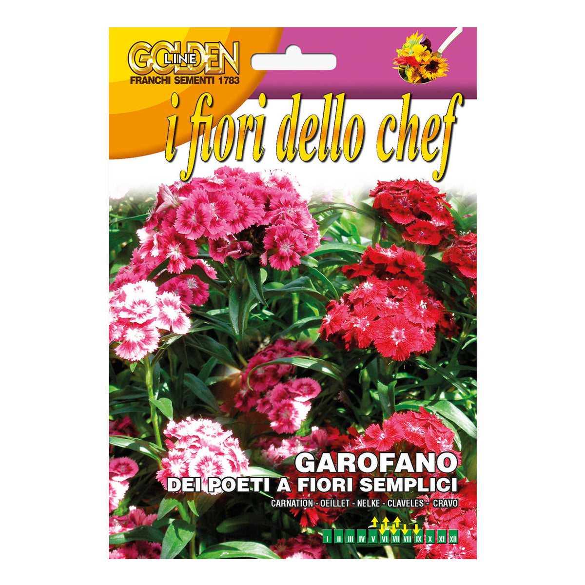 Buy Edible Sweet William Flower Seeds — The Worm that Turned ...