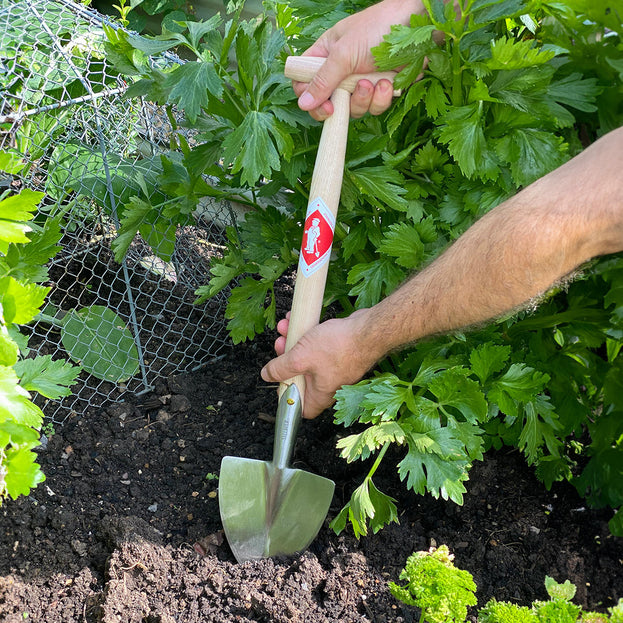 Buy Sneeboer Great Dixter Planting Spade — The Worm that Turned ...