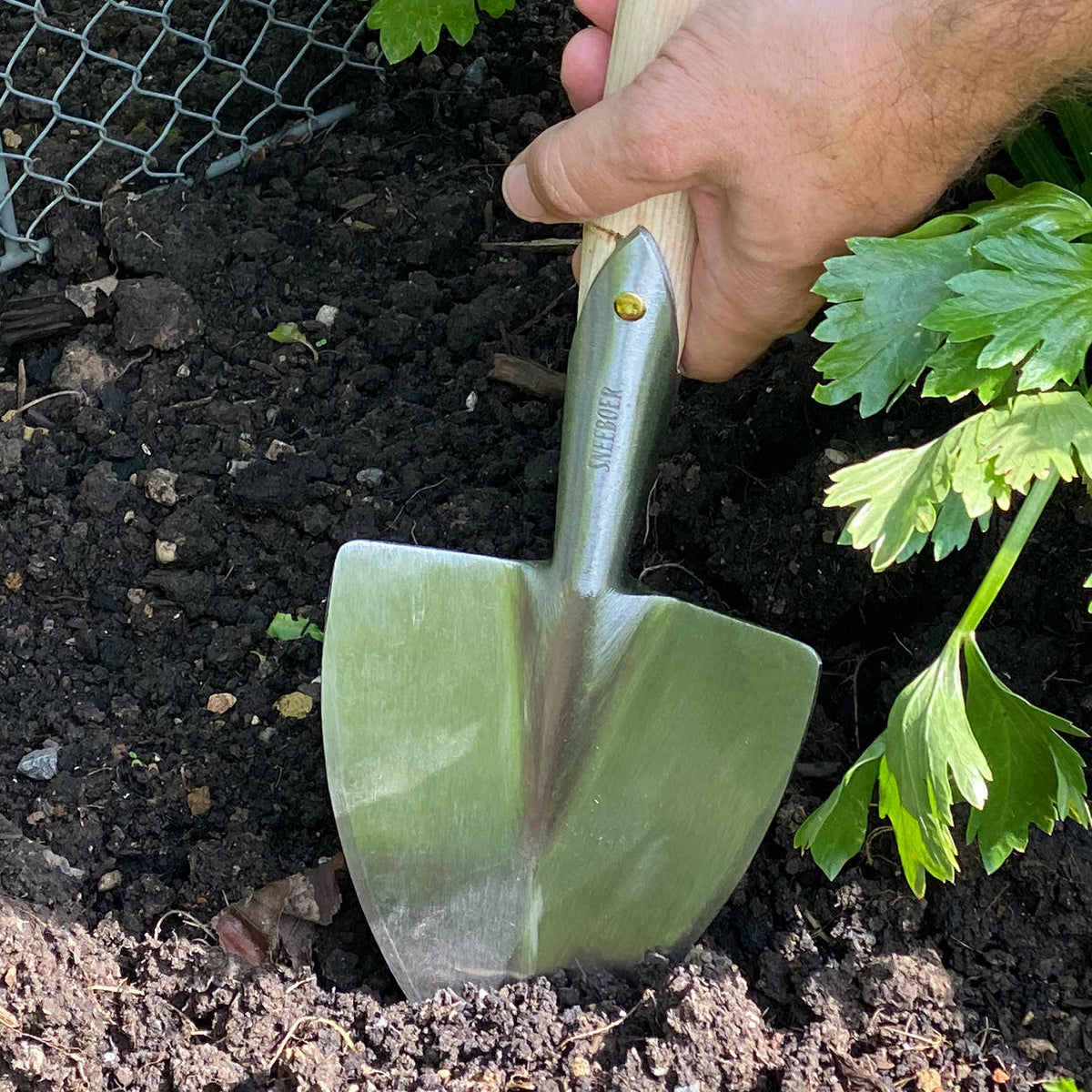 Buy Sneeboer Great Dixter Planting Spade — The Worm that Turned ...