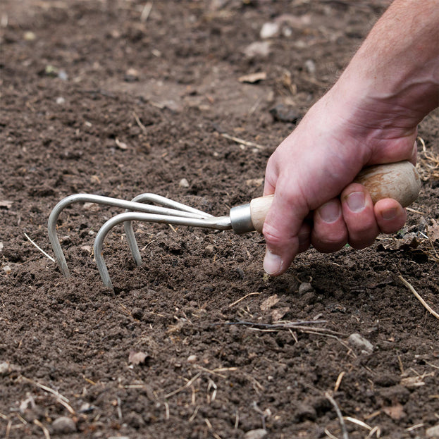 Buy Sneeboer 3 Tine Hand Cultivator — The Worm that Turned ...