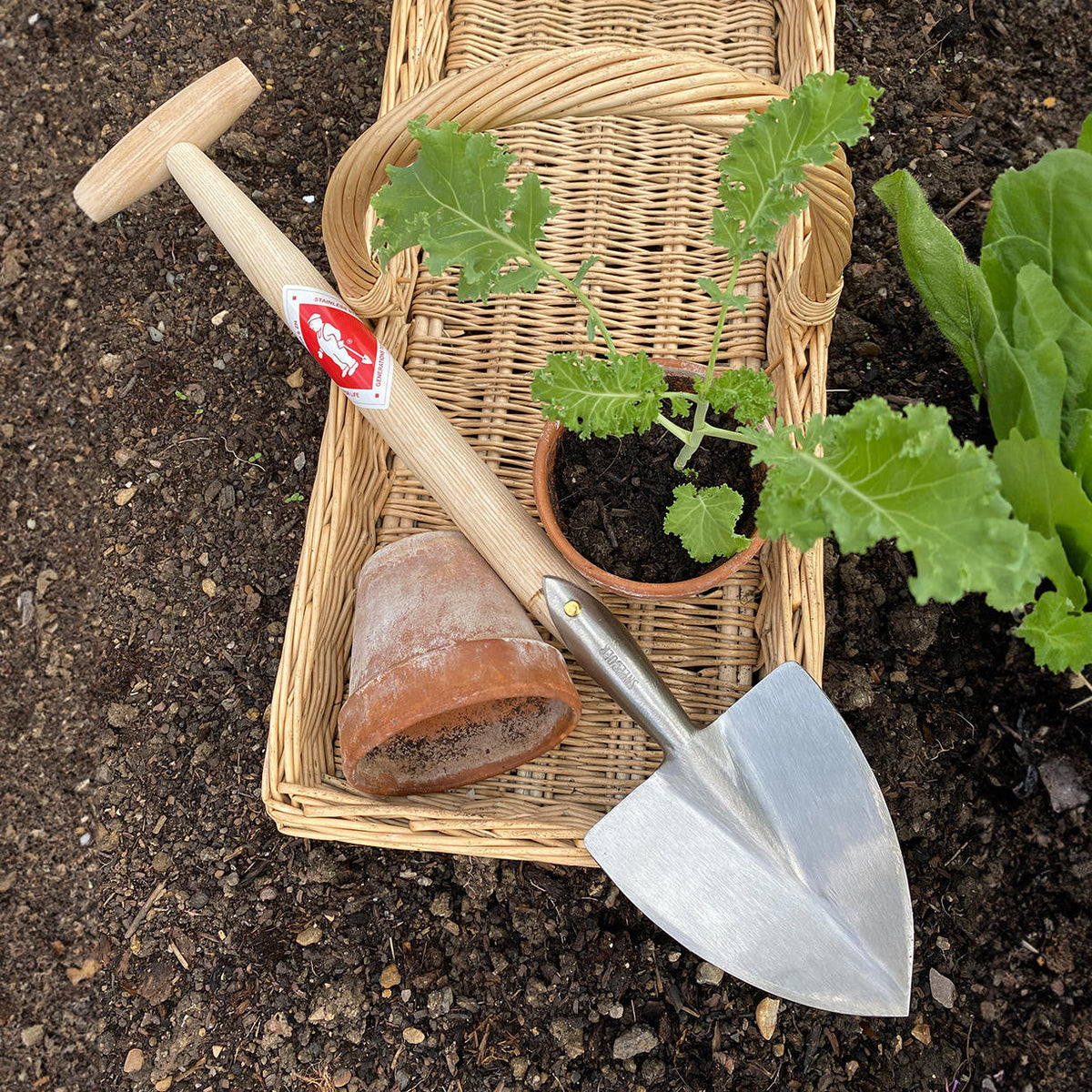 Buy Sneeboer Perennial Spade — The Worm that Turned - revitalising your ...