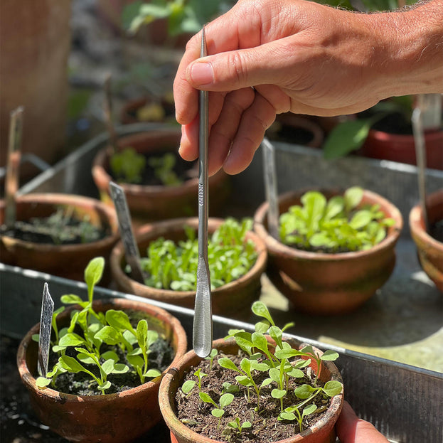 Buy Sneeboer Seedling Pricker — The Worm that Turned - revitalising ...