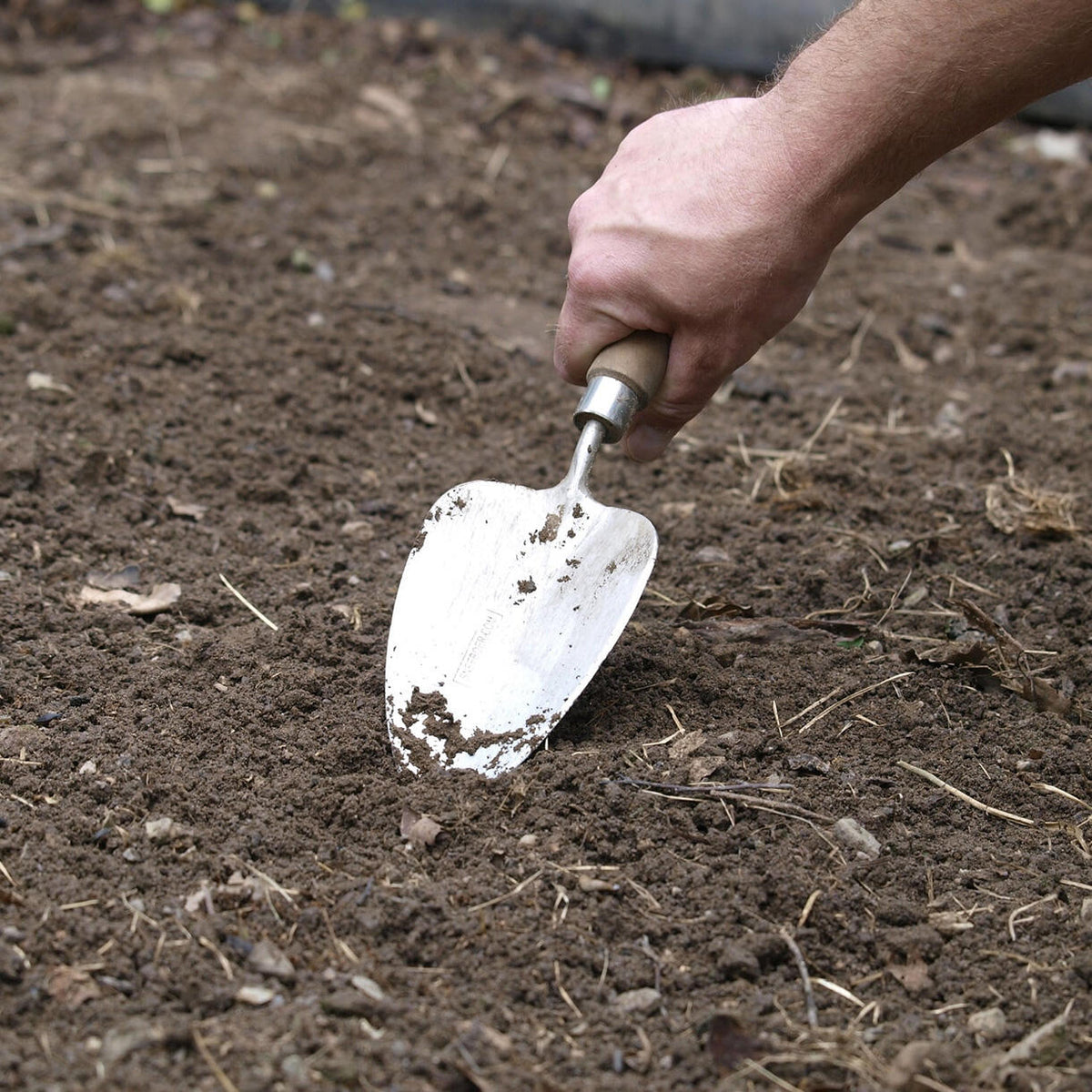 Buy Sneeboer Transplanting Trowel — The Worm that Turned - revitalising ...