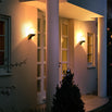 Buy Outdoor Classic Ball Lights with Motion Sensor — The Worm that ...