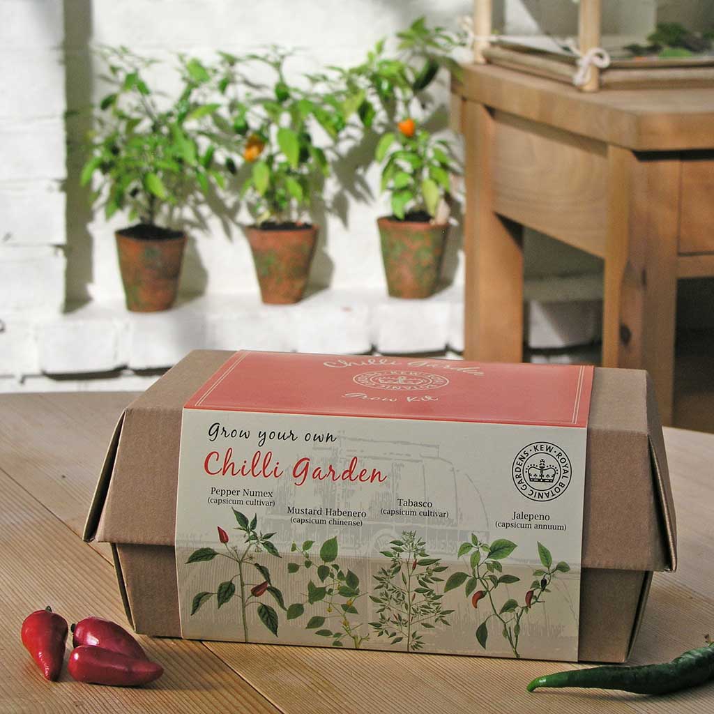 Buy Kew 'Grow your Own' Chilli — The Worm that Turned - revitalising ...