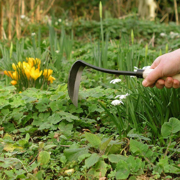 Buy Japanese Razor Hoe — The Worm that Turned - revitalising your ...