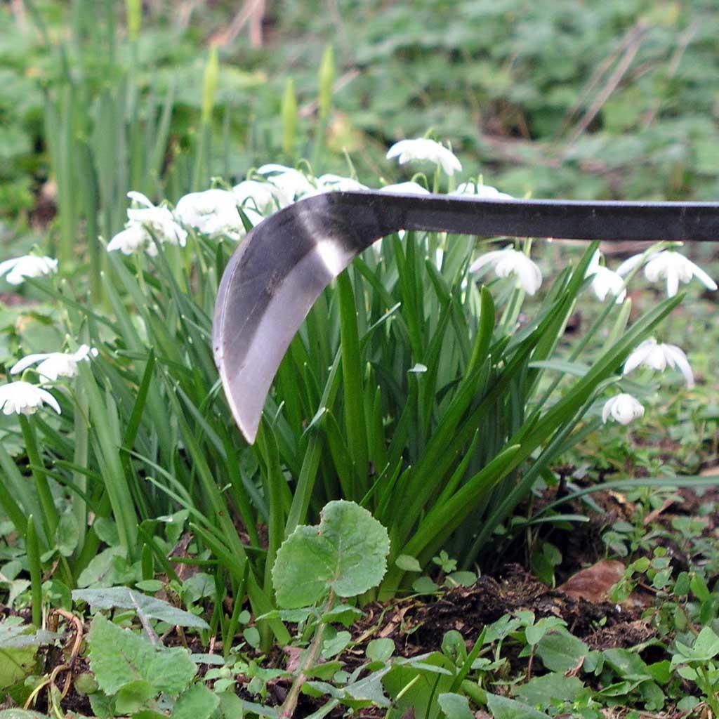 Buy Japanese Razor Hoe — The Worm that Turned - revitalising your ...