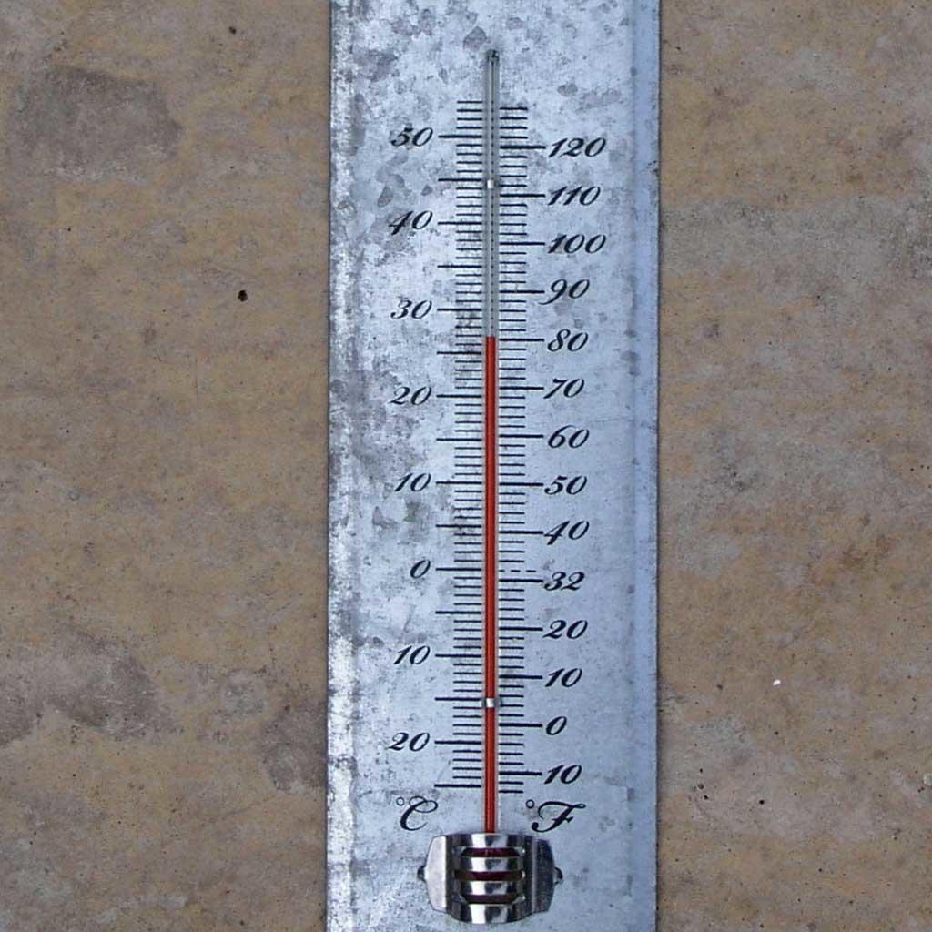 Buy Zinc Thermometer — The Worm that Turned - revitalising your outdoor ...