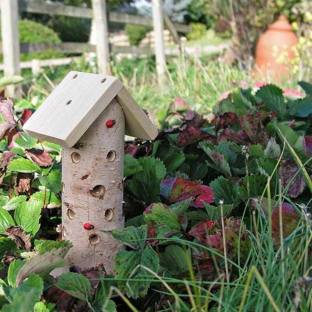 Buy Ladybird and Insect Tower — The Worm that Turned - revitalising ...