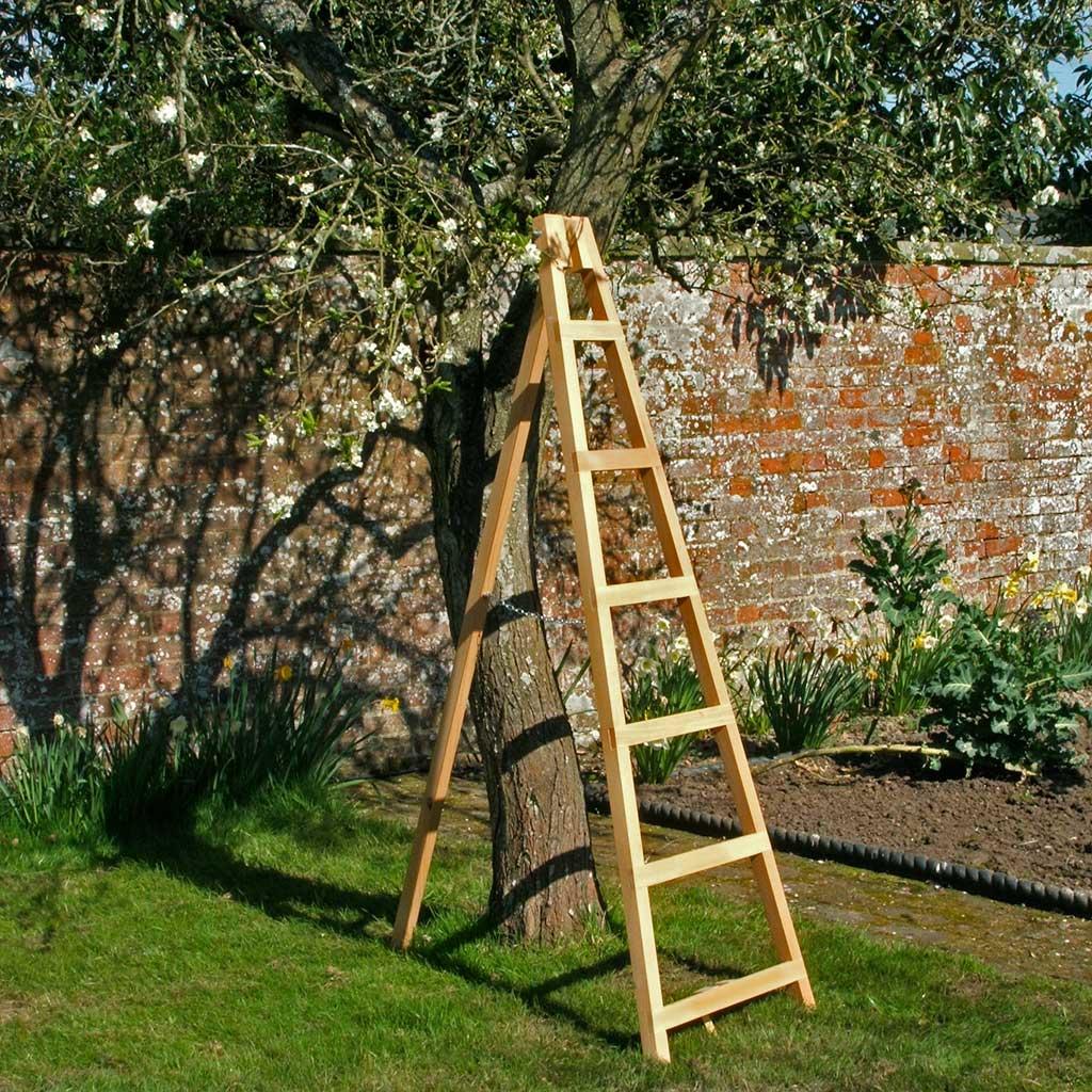 Buy Orchard Ladder — The Worm that Turned - revitalising your outdoor space