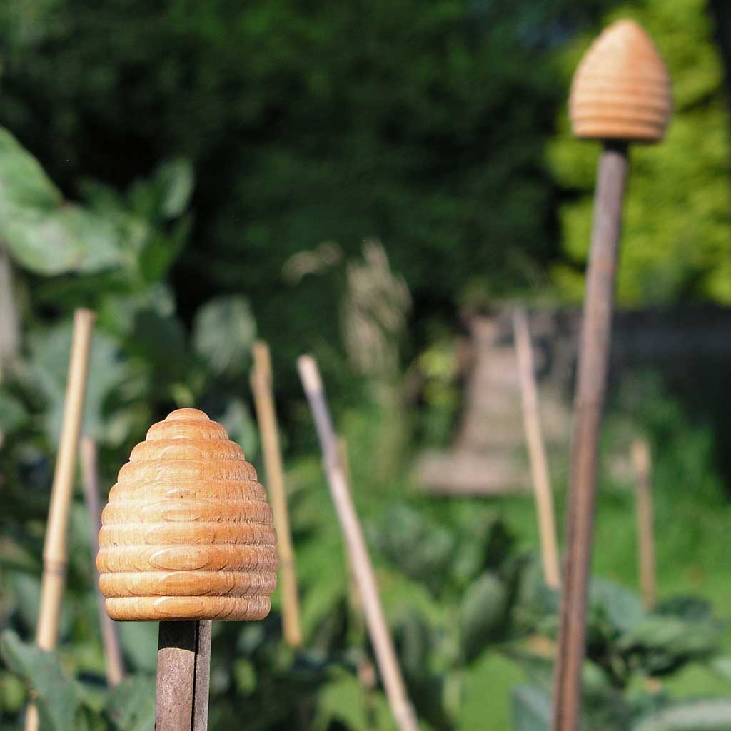 Buy Beech Cane Topper — The Worm that Turned - revitalising your ...