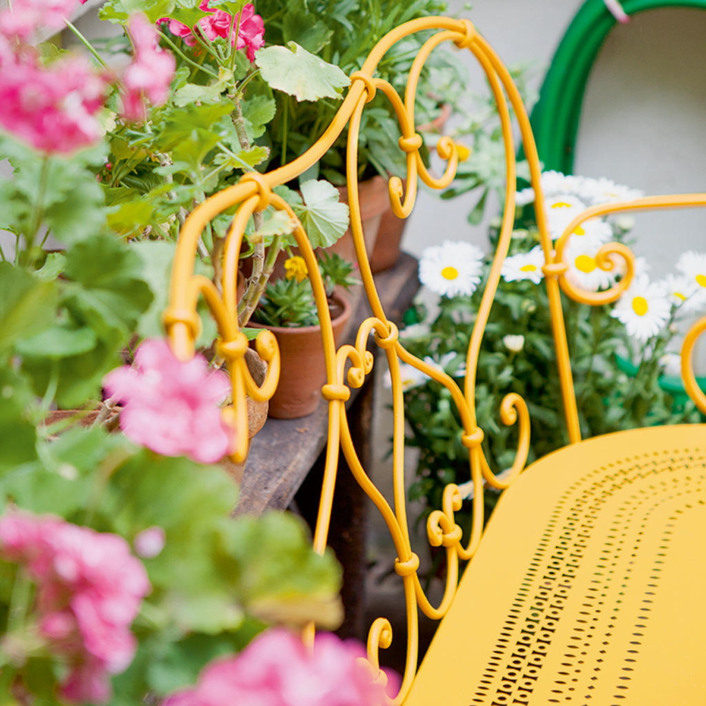 Buy Fermob 1900 Bench — The Worm that Turned - revitalising your ...