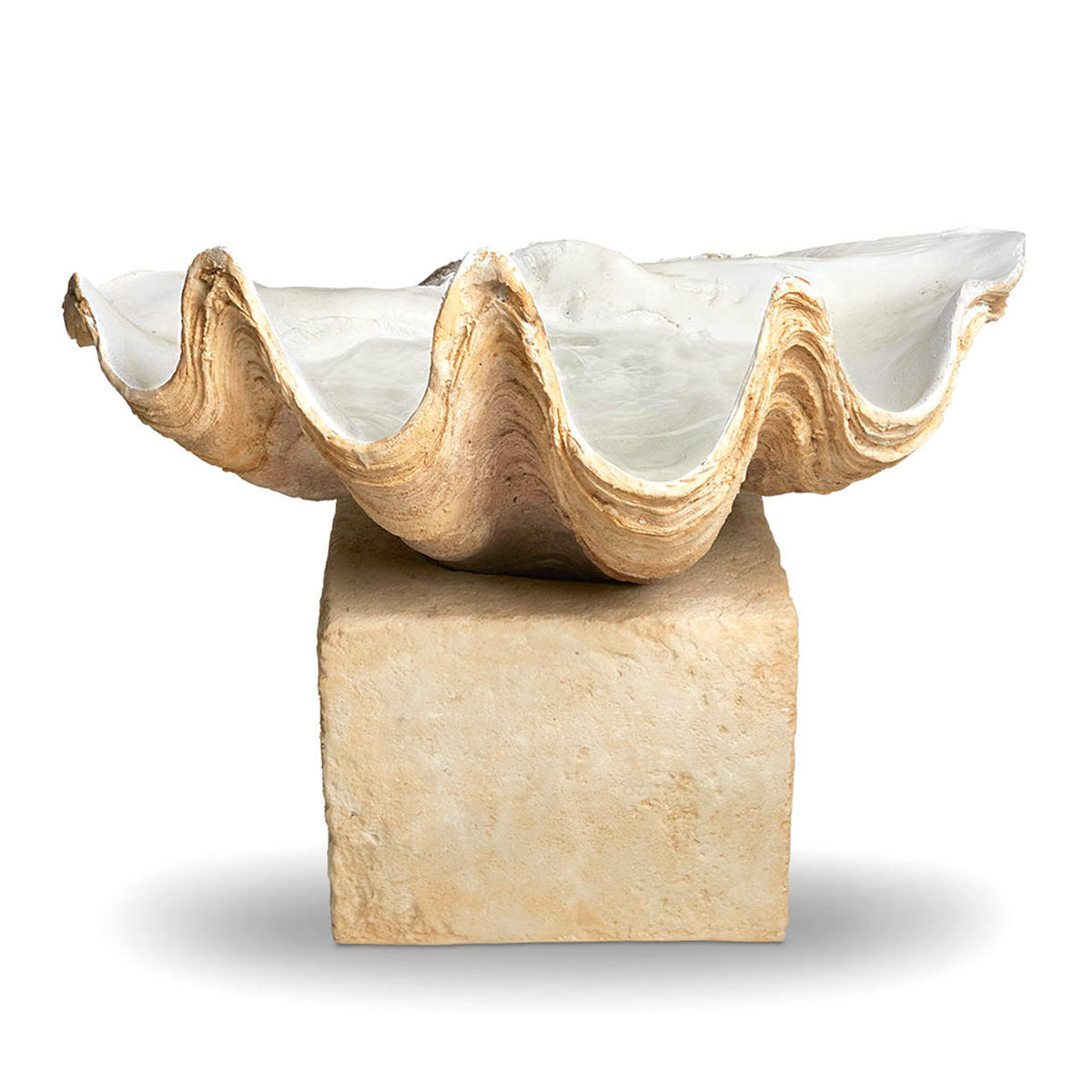 Buy Clam Shell Water Fountain — The Worm that Turned - revitalising ...