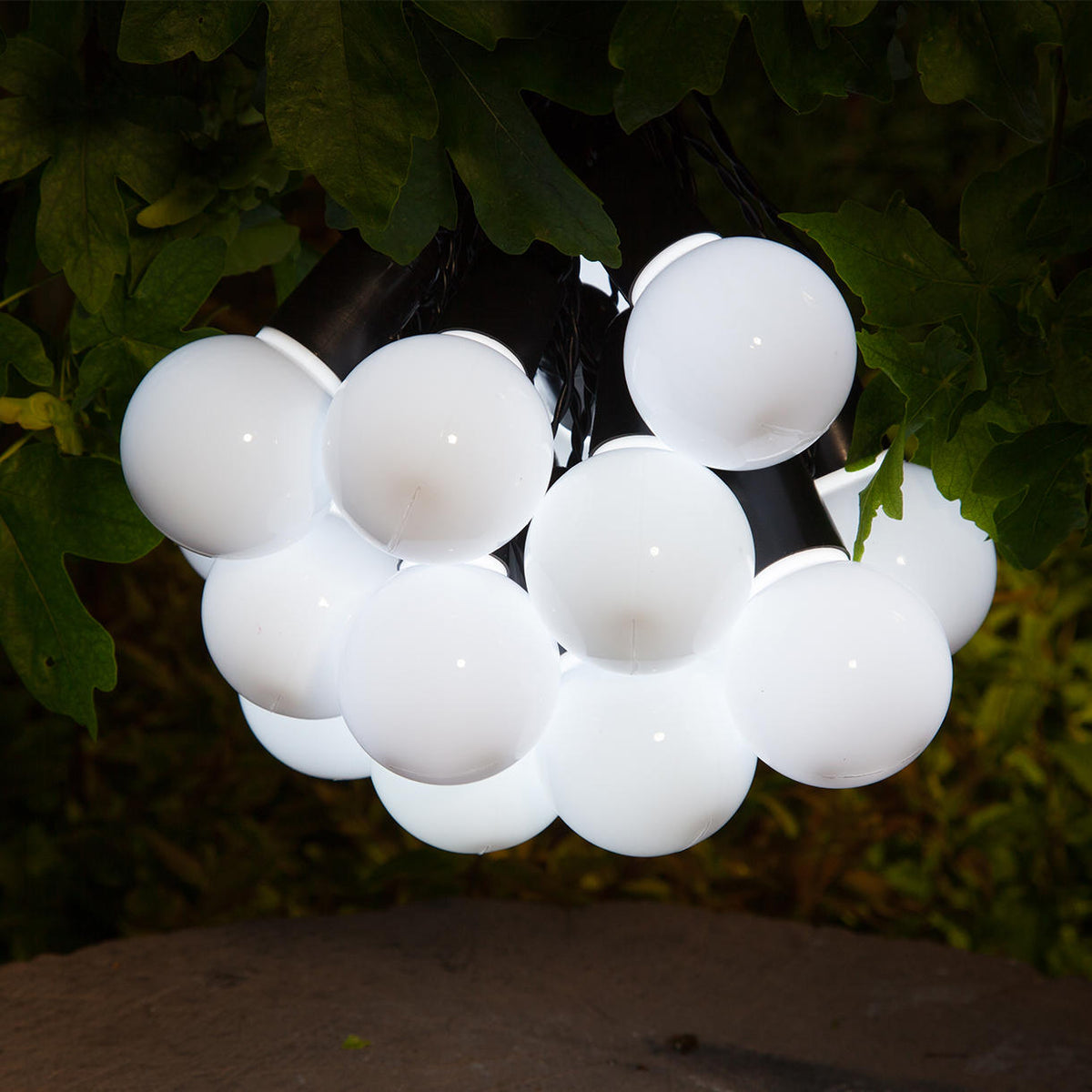 Buy 20 Solar White Festoon Lights — The Worm that Turned - revitalising ...