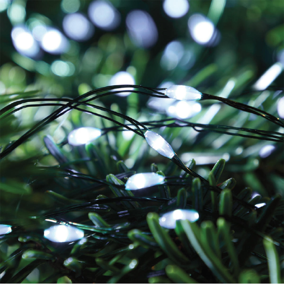 Buy Micro LED Tree String Lights — The Worm that Turned - revitalising ...